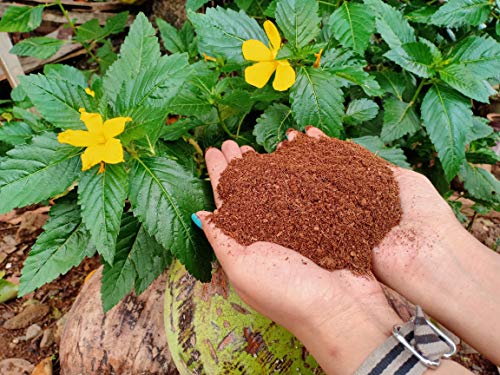 Fjiro Coco | Premium 100% Organic Coconut Coir with Low EC & pH Potting Substrate Soil for Plants | Block 11lbs