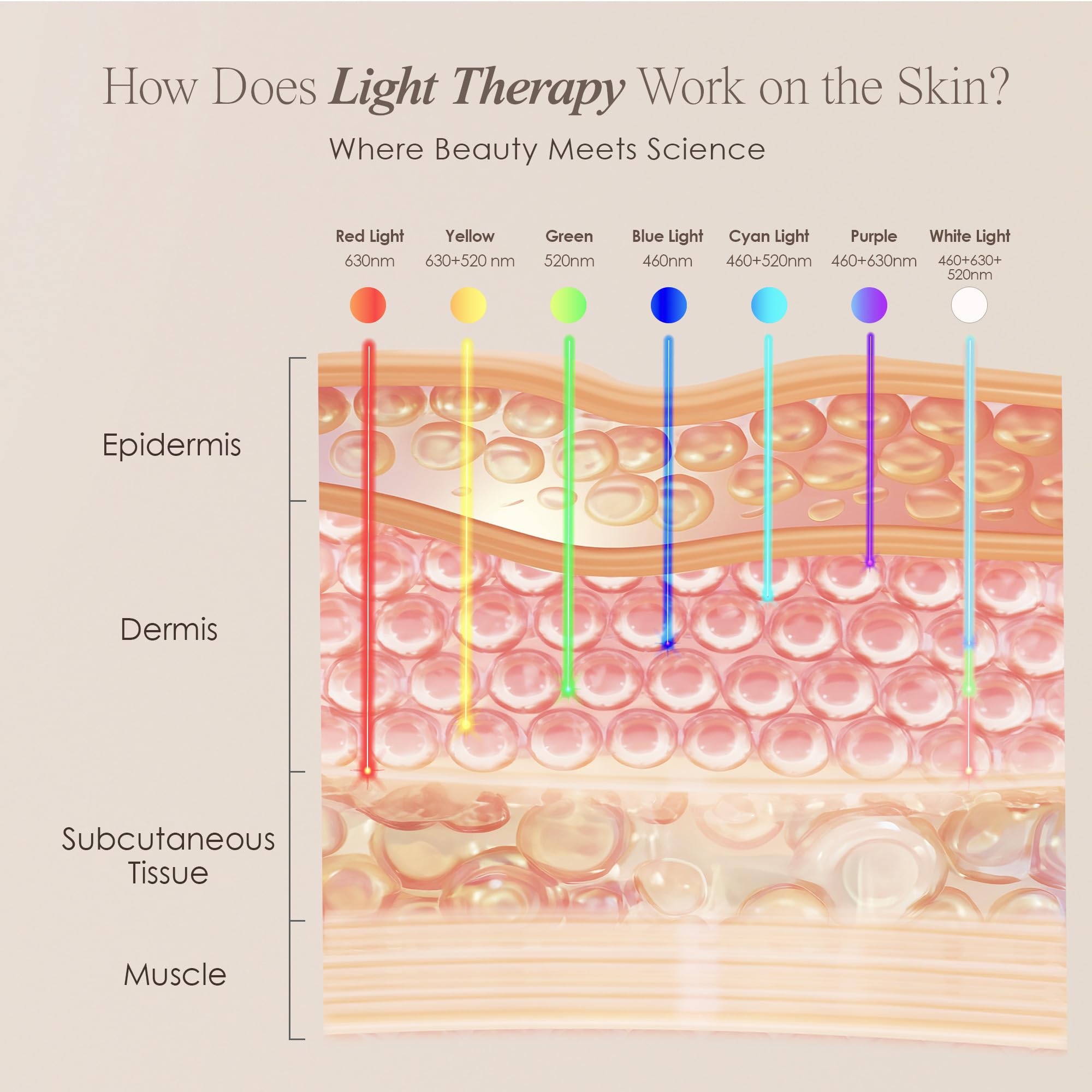 Project E Beauty Skin Rejuvenation Photon Mask | LED Face Mask Light Therapy Red Blue Light Anti-Aging Wrinkle Spa Facial Treatment Home Skincare Mask