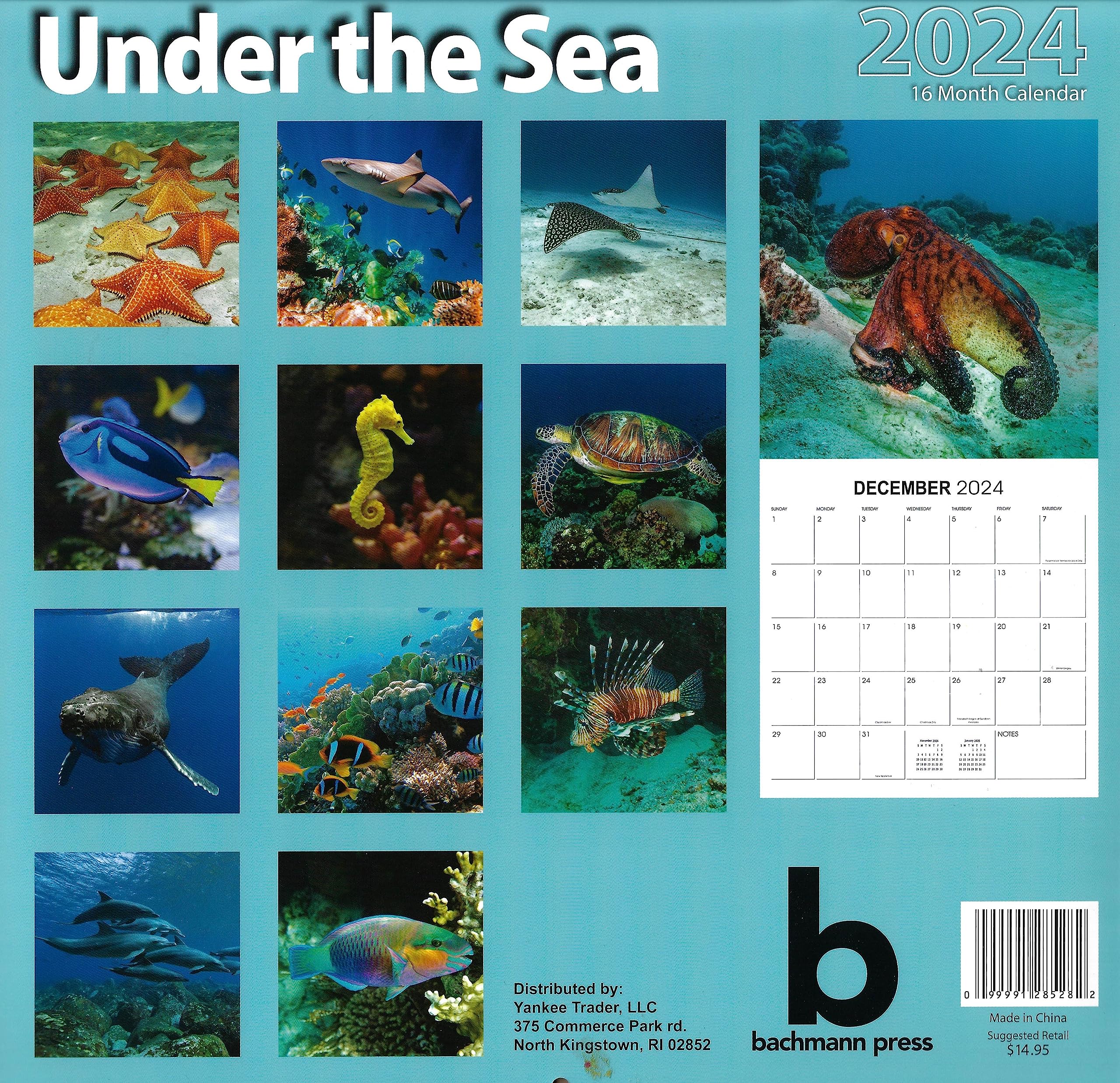 2024 Under the Sea Full Size Wall Calendar for Planning, Scheduling, and Organizing