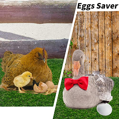 6+1 Pack Chicken Nesting Box Pads with Vegetable Skewer String Feeder, Washable Nesting Pads for Chicken Coop, Artificial Grass Rug Carpet Synthetic Turf Mat - 12"x12"x0.78"