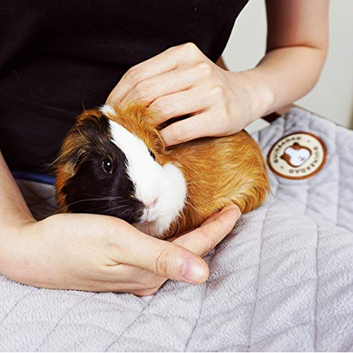 GuineaDad Liner | Guinea Pig Fleece Cage Liners | Guinea Pig Bedding | Extra Absorbent Bamboo | Waterproof Bottom (C&C 2x1, Grey)