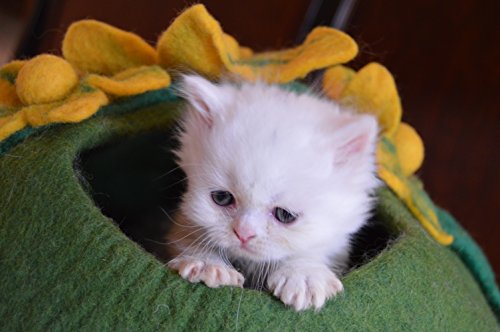 Earthtone Solutions Cat Cave Bed, Unique Green Handmade Felted Wool, Large Covered and Cozy, Also Perfect for Kittens, Original Cat Caves, (Emerald Haven)