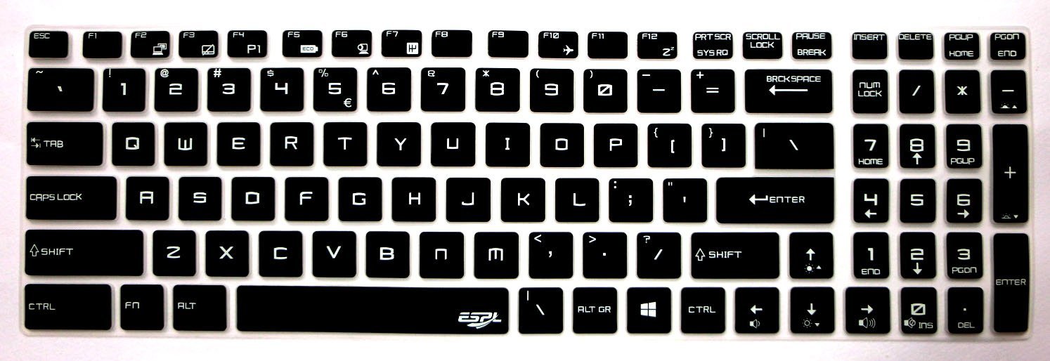 BingoBuy US Layout Keyboard Protector Cover Skin for MSI GL63 GS75 GE75 GS63 GP63 GE63 PE60 PE70 GE62 GE72 GL62 GL72 GP62 GT62 PL60 CX62 WE62 WS63 GP72 GT72 GS73VR GT73VR WT73 WS72 GE73 (Black)