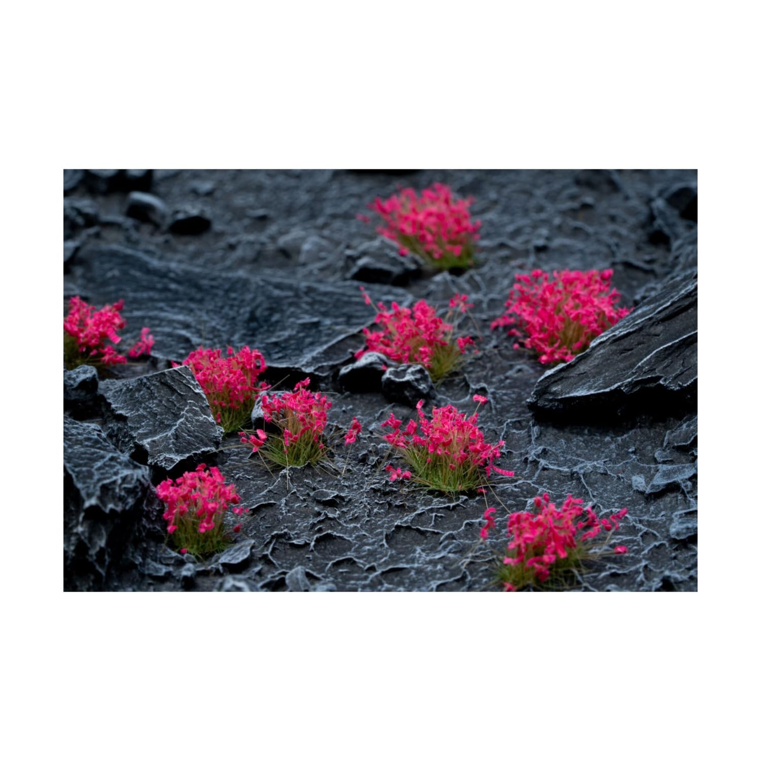 Gamers Grass - Pink Flowers