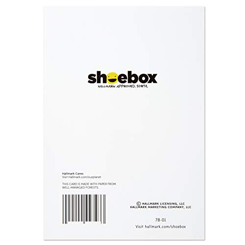 Hallmark Funny Shoebox Funny Thanksgiving Card Assortment (6 Cards with Envelopes)