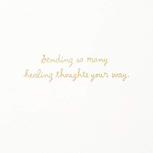 Hallmark Signature Get Well Card (Plant)