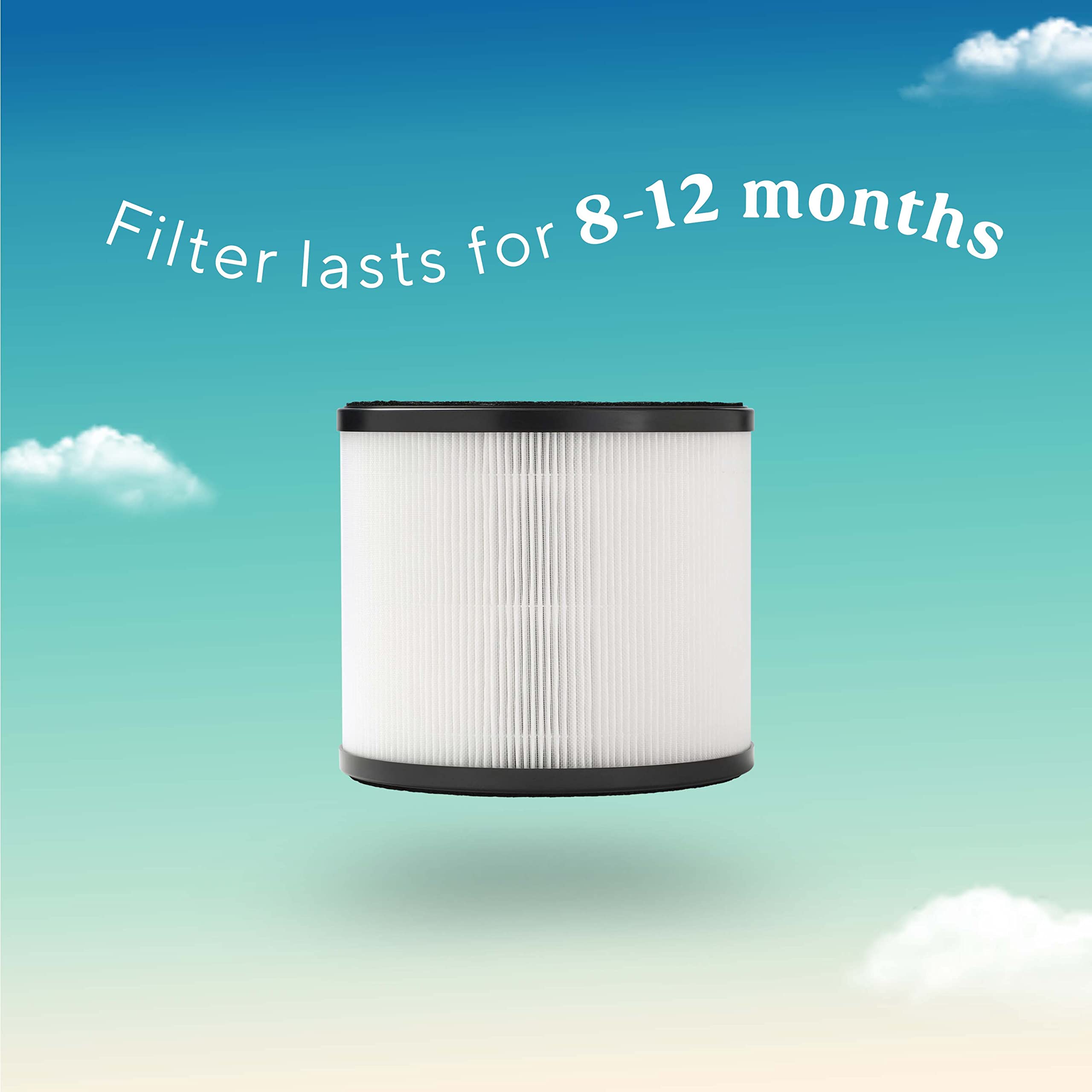 Bionaire® True HEPA 360° Air Filter