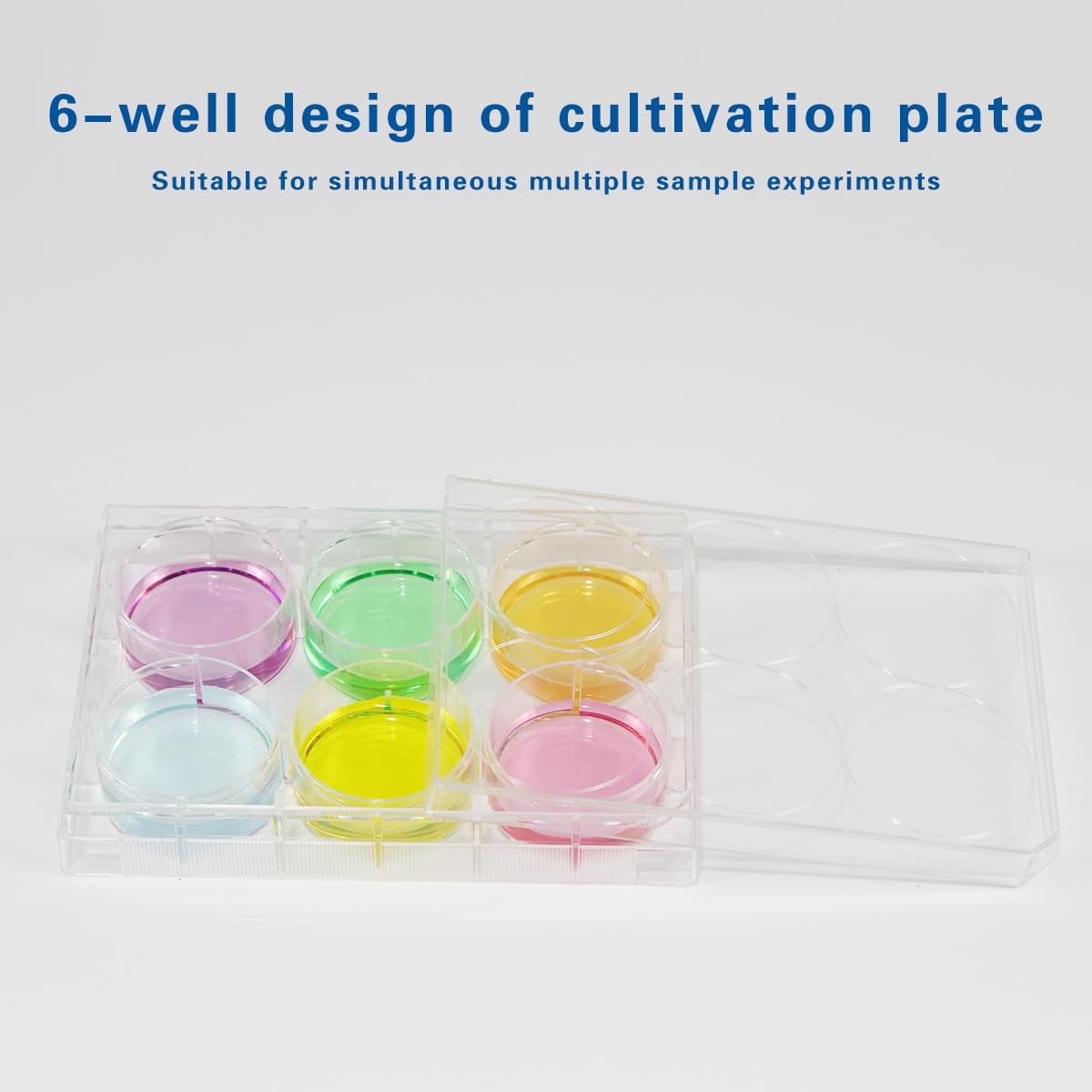 BIPEE Polystyrene Petri Dish 6 Well Cell Culture Plate, Sterile, Pack of 10