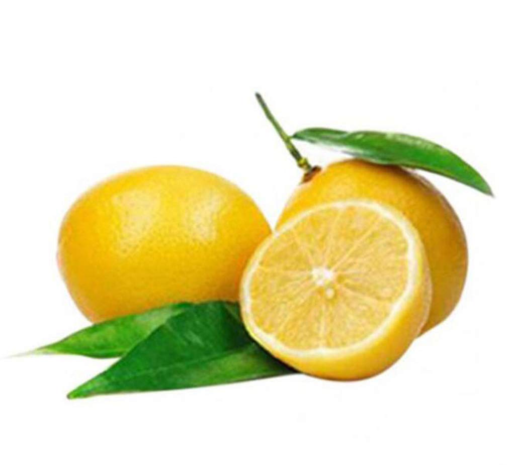 20pcs/Bag Lemon Tree Seeds Plants Fruit Seeds High Survival Rate Fruit Tree Seeds Plant for Home Garden Backyard