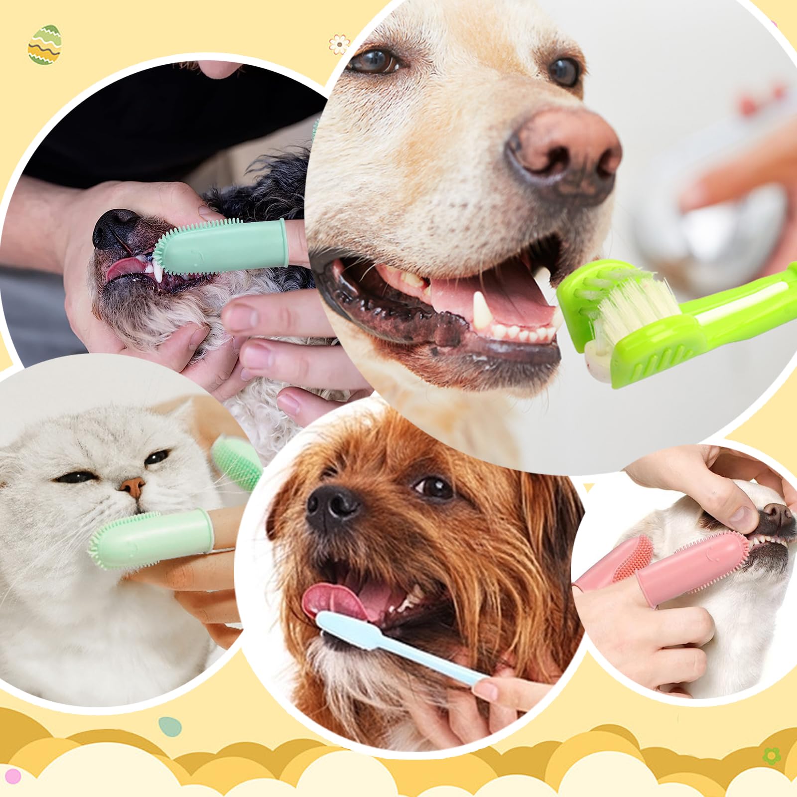 Adovoc Solar Powered Adult Dog Toothbrush Set, Blue, 2-in-1 Dual Finger and Toothbrush, Gentle on Pets' Gums