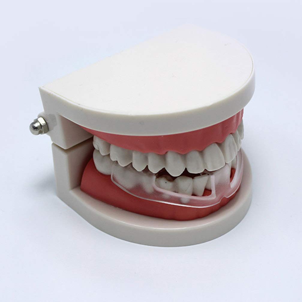 BESPORTBLE 4PCS EVA Food Grade Mouth Guard Dental Night Protector Tooth Grinding Guard for Sleep Men Women