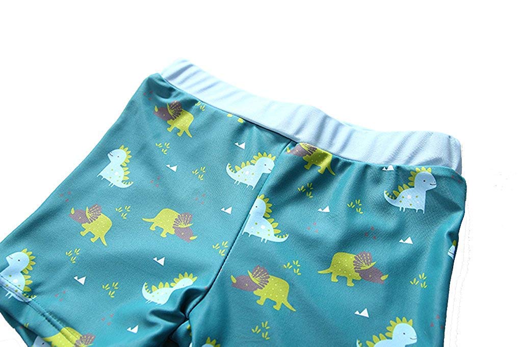 Best for All Baby Toddler Boys Two Pieces Swimsuit Set Swimwear Dinosaur Bathing Suit Rash Guards with Hat UPF 50+ (Lake Blue, 2-3 Years)