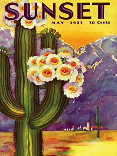 New York Puzzle Company - Sunset Cactus Blooms - 500 Piece Jigsaw Puzzle