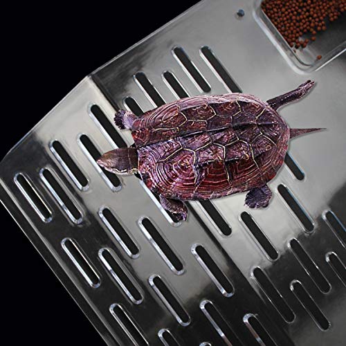 Turtle Basking Platform, Turtle Tank Platform Aquarium Animal Transparent Sink Wharf, Reptile Habitat, Climbing shelf Turtle Tank Dock Floating Decor with Sucker Cap