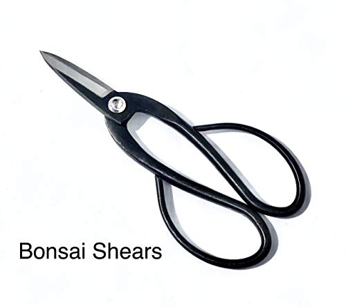 7.3” Bonsai Scissors, for Bonsai Gardening. Bonsai Shears. Bonsai Pruning with a High Carbon Steel Blade. Ergonomic Design That Provide Precision Trimming.