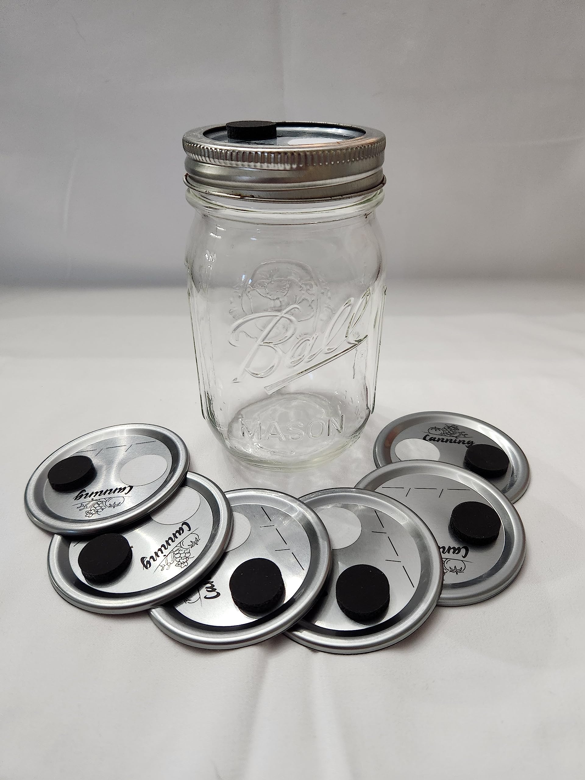 6 PCS of Regular Mouth Mason Jar Lids with Self Sealing Injection Port & Synthetic Filter for Mycology