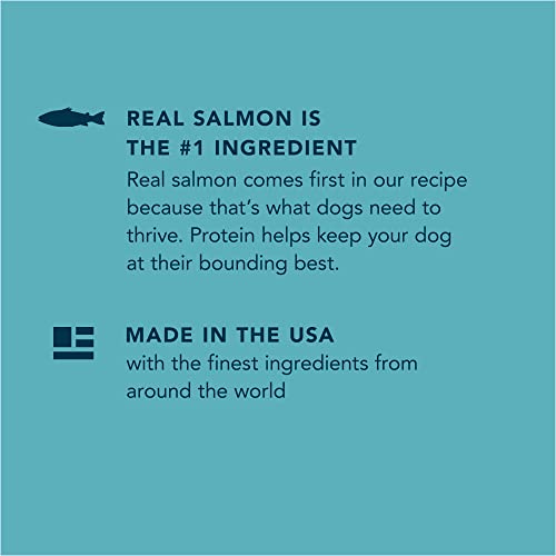 Amazon Brand β Wag Dry Dog Food, Salmon and Brown Rice, 5 lb Bag (Packaging May Vary)