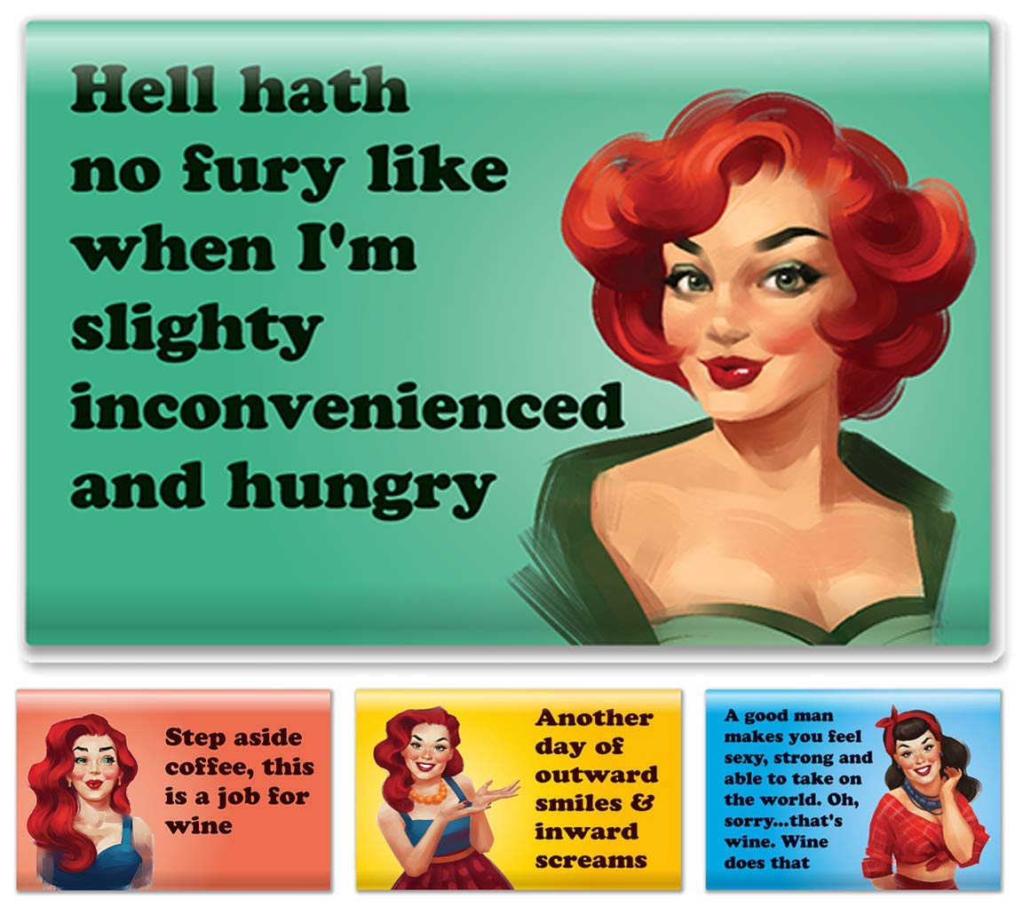 4 Pack Refrigerator Magnets - Funny Fridge Magnet - Perfect Housewarming Gift, or Gift for Women Friends