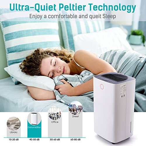 2000 Sq. Ft Dehumidifier for Basement with Drain Hose, Auto or Manual Drainage, 0.5 Gallon Water Tank Capacity