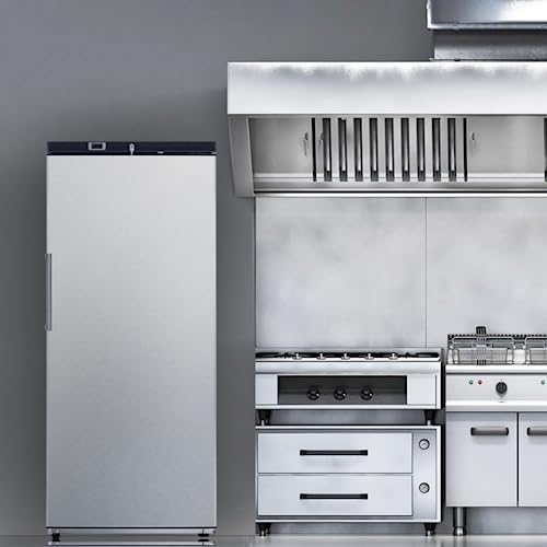 BLUELINETECH 30" Commercial Refrigerator with Single Solid Door, 18.6 cu.ft Stainless Steel Reach-in Refrigerator