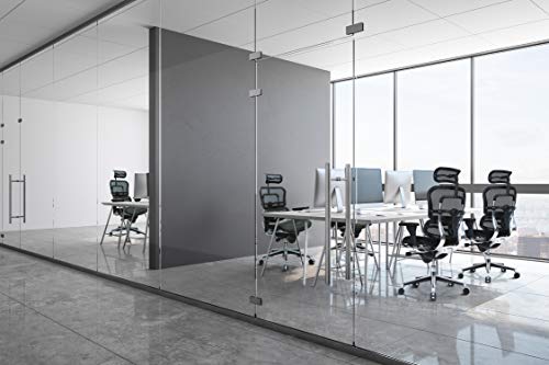 Eurotech Seating Ergohuman High Back Mesh Managers Chair, Black