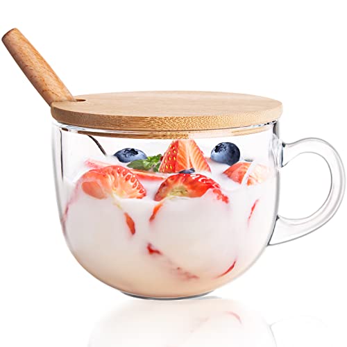 PARACITY Glass Cup 15OZ Clear Coffee Mug with Lids Spoon for Breakfast Tea,Milk,Beverage,Oats,yoghurt