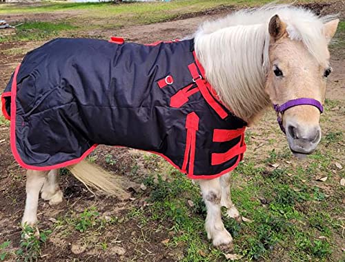 CHALLENGER 60" 1200D Miniature Weanling Donkey Pony Horse Foal Winter Blanket Red BLK 51946