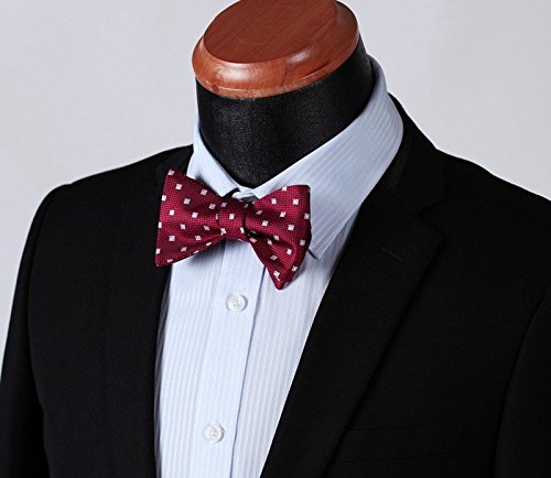 HISDERN Mens Bow Ties Red Polka Dots Self-Tie Bow Tie and Pocket Square Classic Formal Business Bowtie Tuxedo Wedding Bowties Handkerchief Set