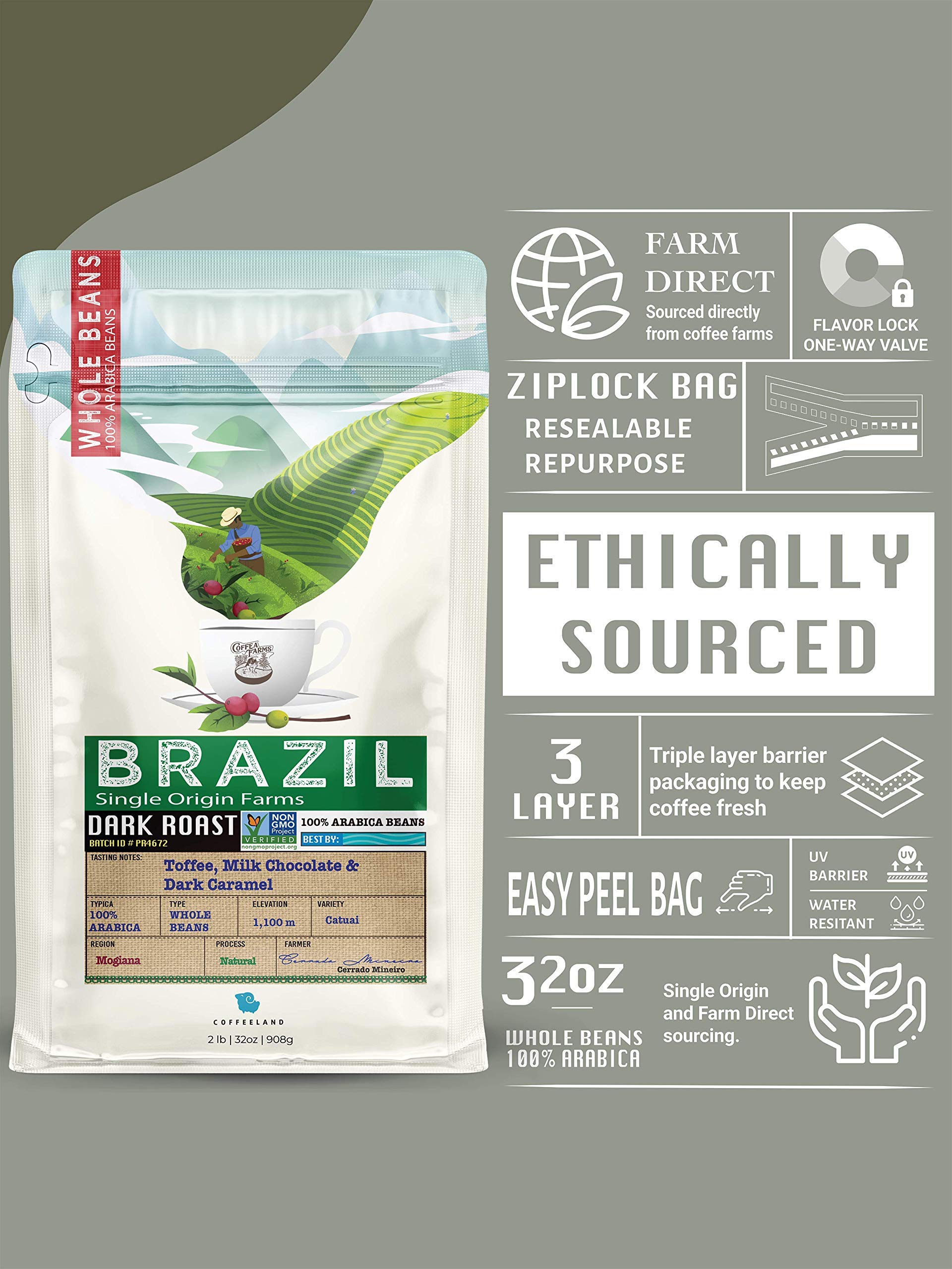 32 Ounce (2 LB) NON-GMO Single Origin Dark Roast Brazil Coffee, Low Acidity all Natural, Single Origin Whole Bean Coffee Notes: Rich Dark Caramel, Milk Chocolate and Sweet Toffee - CoffeaFarms by Coffeeland