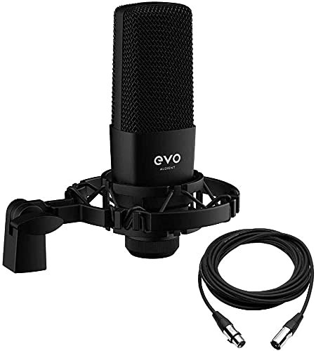 Audient EVO Start Recording Bundle with EVO 4 2-In/2-Out USB Audio Interface, SR1 Condenser Mic, SR2000 Headphones, Shockmount, XLR Cable, Instrument Cable, and Austin Bazaar Polishing Cloth