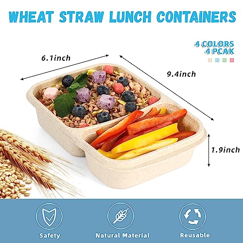 4 Pack Bento Lunch Box for Kids Adults, 2 Compartments Lunch Containers, Reusable Meal Prep Containers with Lids, Microwave & Dishwasher Safe, Divided Food Prep Containers for Travel, School & Work