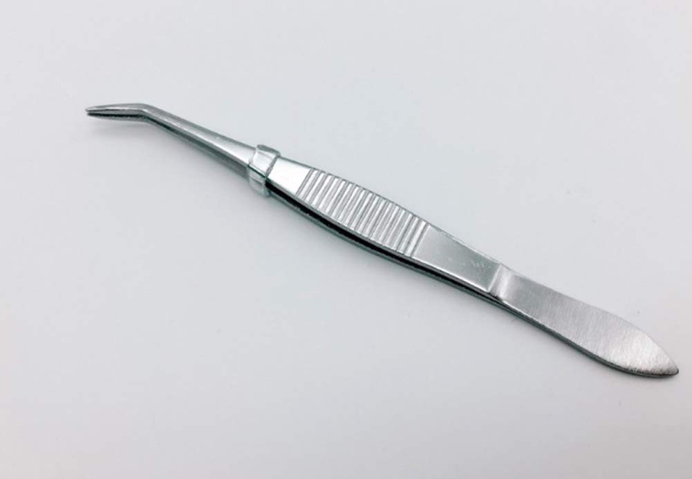 2 PCS 4 Inch Professional Stainless Steel Dental Straight Forceps and Curved Tip Tweezers Multifunction Eyebrow Cosmetic Tools DIY Accessories Extractor Clamp