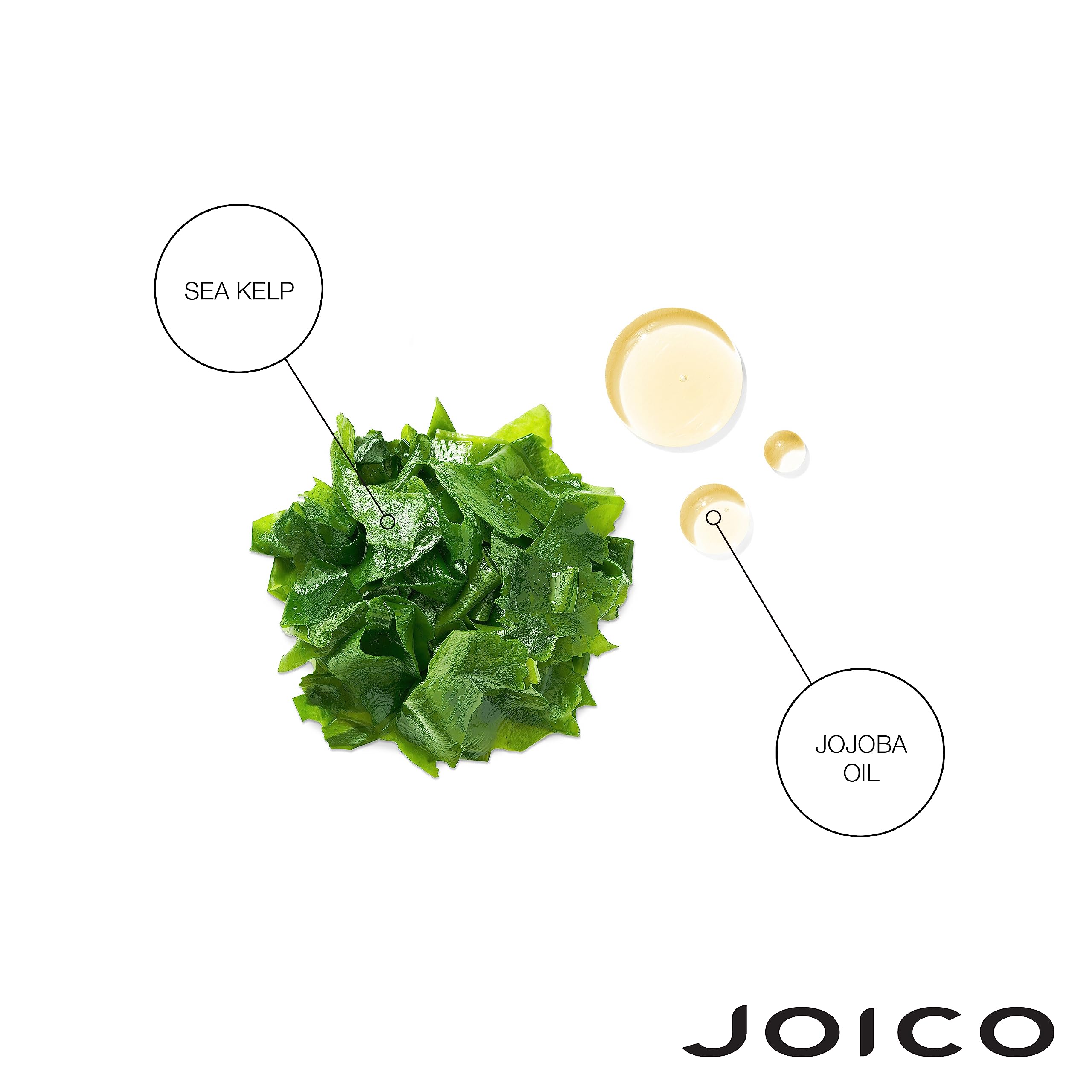 Joico Moisture Recovery Treatment Balm | For Thick, Coarse, Dry Hair | Restore Moisture, Smoothness, Strength, & Elasticity | Reduce Breakage & Frizz | With Jojoba Oil & Shea Butter | 16.9 Fl Oz
