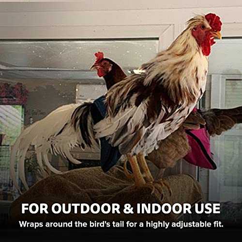 Hen Holster Bird Diaper Harness - Wrap Around for Hens, Roosters, Ducks & Geese, Leak-Proof Bird Diaper with Sewn-in Liner, Secure Hook & Loop Closure - S/M, Red Bandana
