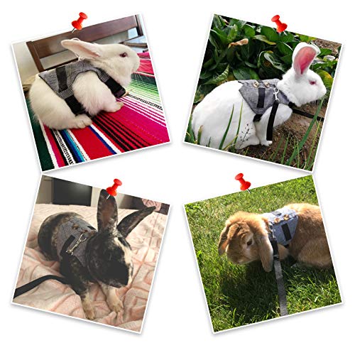 Cute Rabbit Harness and Leash for Walking,No Pull Adjustable Formal Suit Style Plaid Stripe Harness for Rabbit Kitten Chinchilla, Squirrel, Marten & Mink Small Animal(2 Pcs) (M)