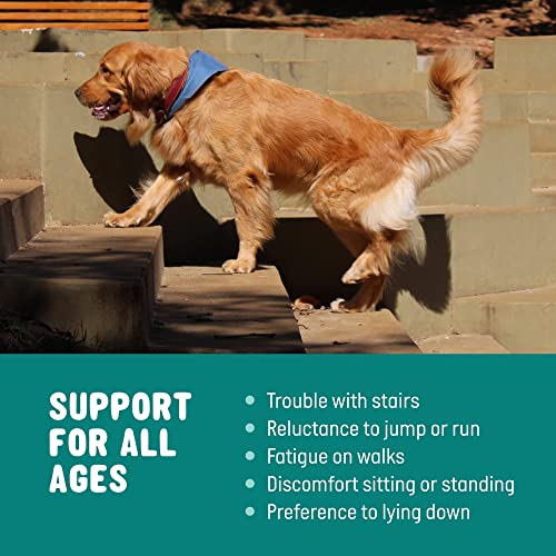 Glucosamine for Dogs Soft Chews 120 ct - Hip and Joint Supplement for Dogs with Chondroitin, Turmeric & MSM - Dog Joint Supplement + Vitamin E for Small, Large Breed & Senior Dogs Mobility Support