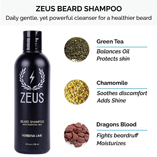 ZEUS Premium Beard Care Kit β Complete Grooming Set, Beard Wash Combo, Beard Oil & Balm, Beard Brush & Comb (Verbena Lime)
