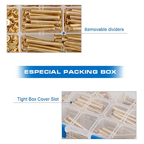 INCREWAY Phillips Screws, 100 Sets 5mm X 25/30/35/40/45mm Brass Plated Chicago Binding Screws, Round Cross Head Stud Screw Posts Nail Rivet Chicago Button, Brass Tone