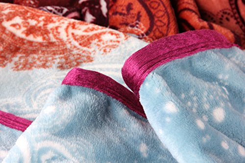 DaDa Bedding Flannel Faux Mink Fleece Throw Blanket - Bohemian Paisley Dreams Silky Soft - Bright Vibrant Floral - Multi Colorful Red Burgundy & Blue - 66" x 90"