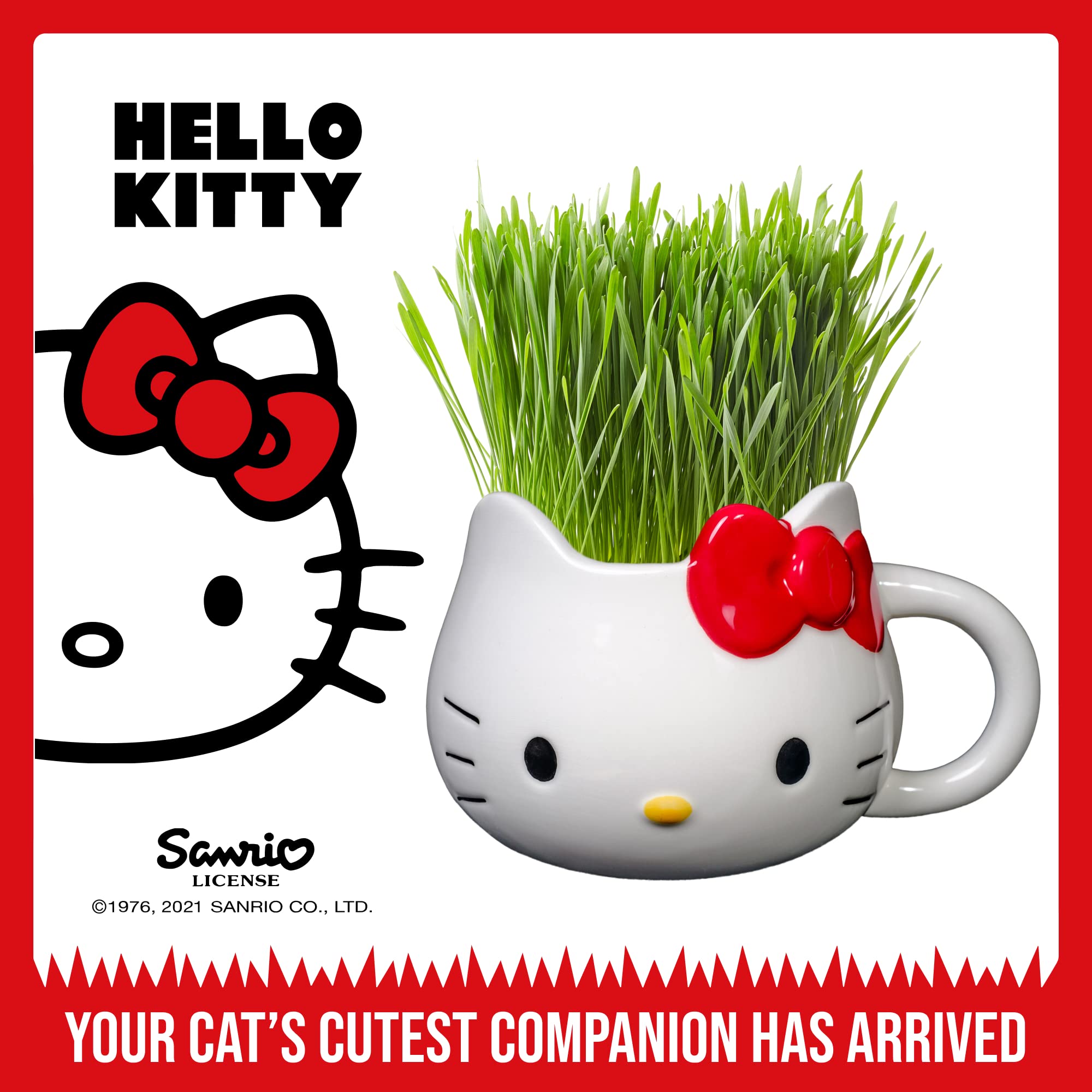 The Cat Ladies Hello Kitty Organic Cat Grass Growing kit with Organic Seed Mix, Soil and Hello Kitty Planter. Natural Hairball Control and Digestive Remedy,Cat Gifts