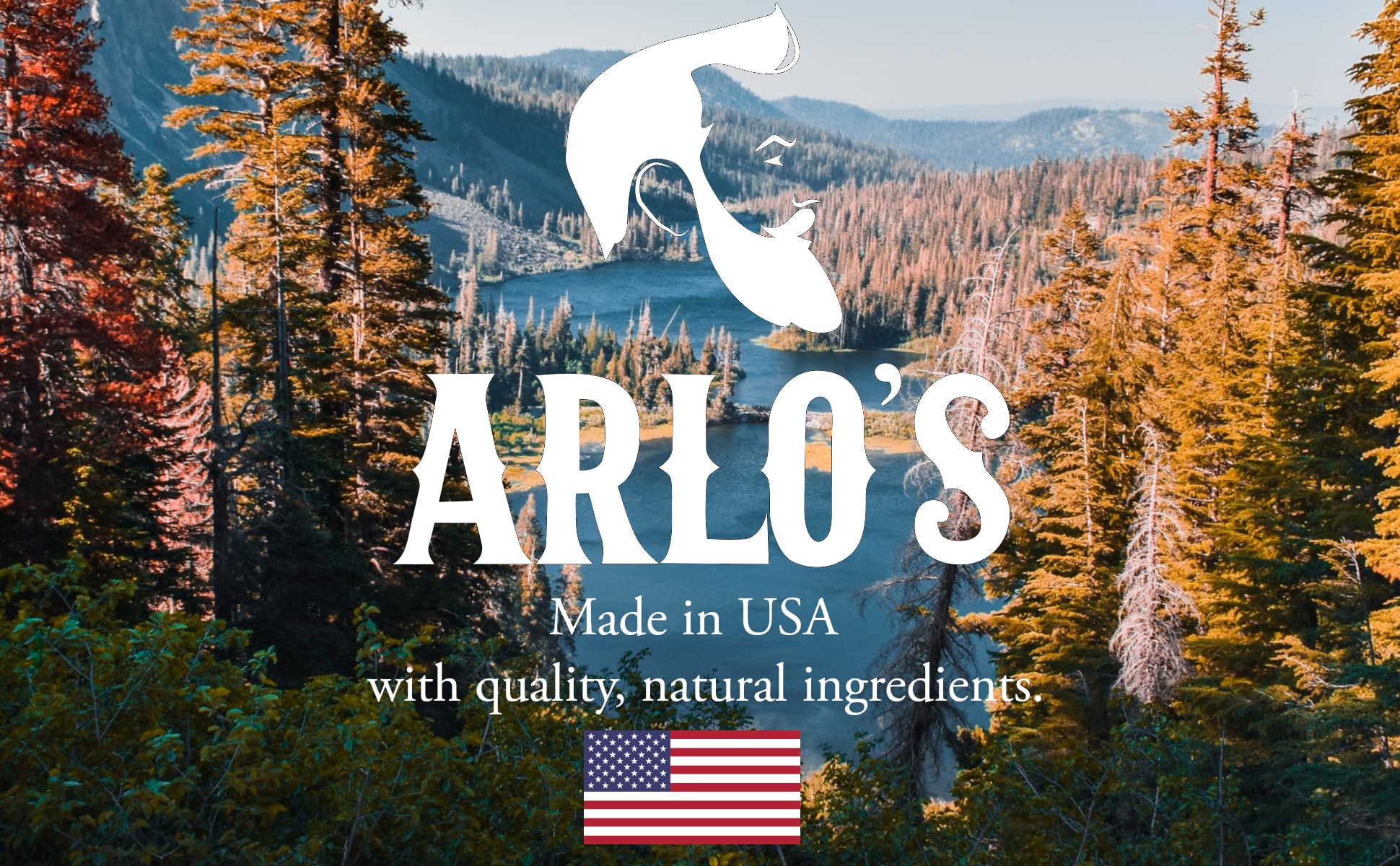 Arlo's Pro-Growth 2-in-1 Beard Wash and Conditioner - Vanilla Sandalwood with Menthol 12 oz