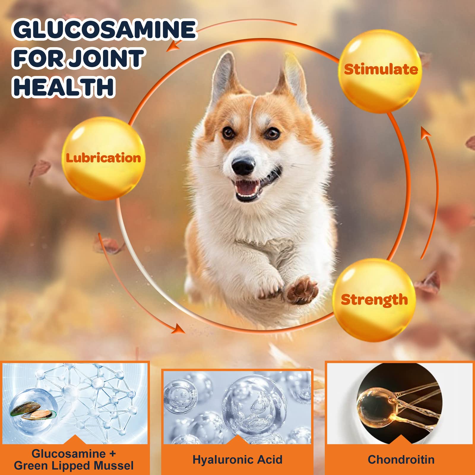 Glucosamine for Dogs, Hip and Joint Supplement,Probiotics for Dogs, 6 Billion CFUs, Freeze Dried Dog Probiotics with Prebiotics and Digestive Enzymes