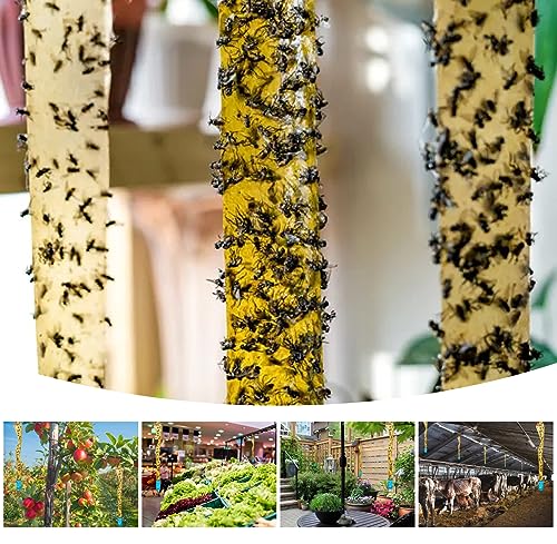 60 Pack Stable Fly Strips Indoor Outdoor Sticky Hanging Paper Tape, Ranch Indoor Fly Traps for Home, Fly Ribbon Hanging, Fly Traps Outdoor