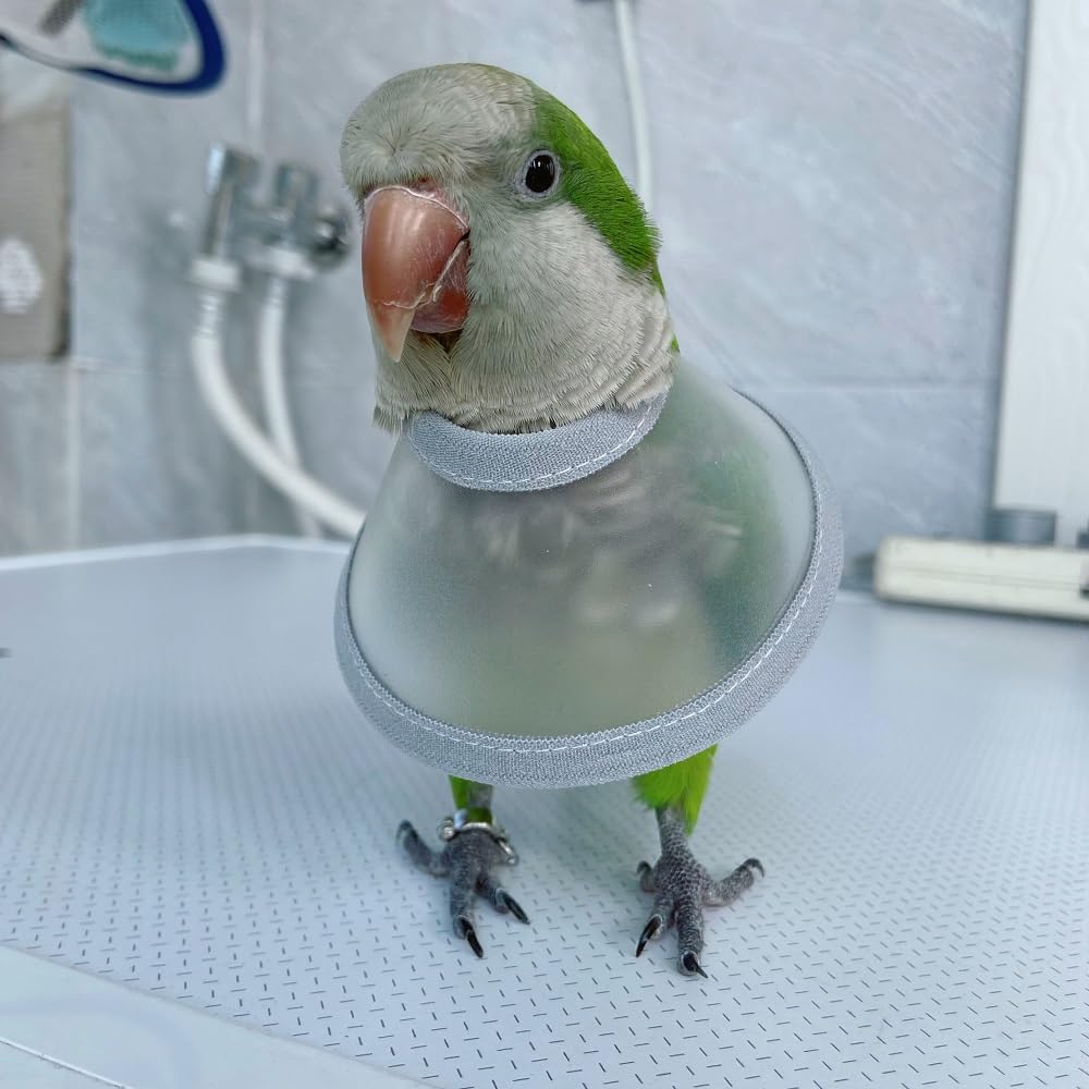 Adjustable Parrot Cone Collar, Safe and Practical Cotton Collar to Prevent Bites and Licking Wounds, to Help heal (2M)