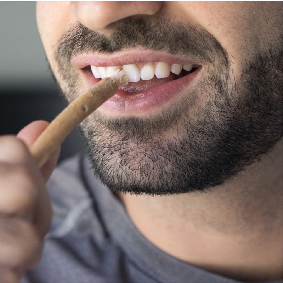 Miswak Siwak Sewak Chewing Sticks Natural Organic Toothbrush Whitening Kit - Miswak Cutter Case This Toothbrush (1 Cutter Case + Free 2 Miswaks)