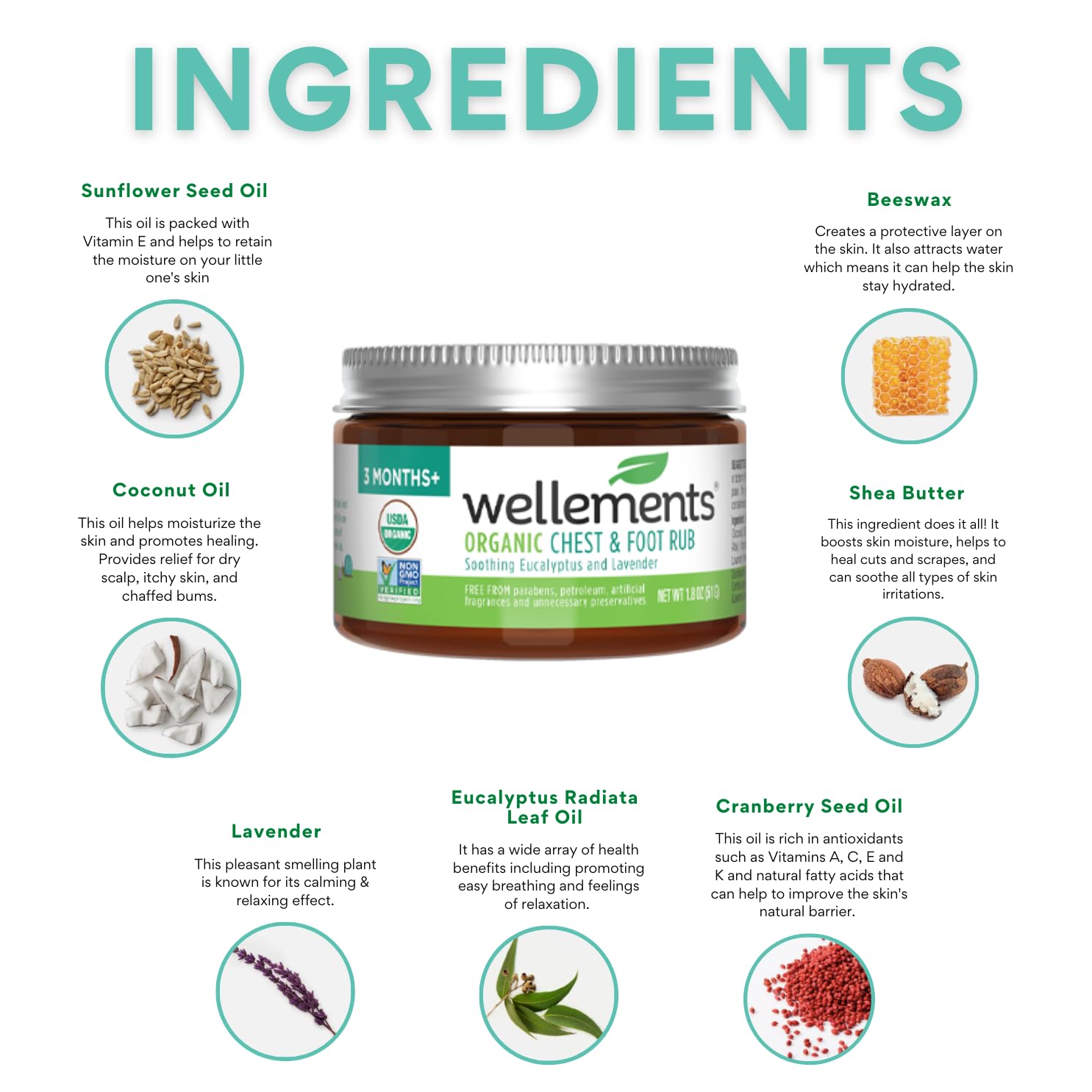 Wellements Organic Baby Chest and Foot Rub | Soothes and Comforts with Eucalyptus and Lavender | Certified Organic | Free From Petroleum, Menthol and Artificial Fragrance | 1.8 Fl Oz. | 3 Months+