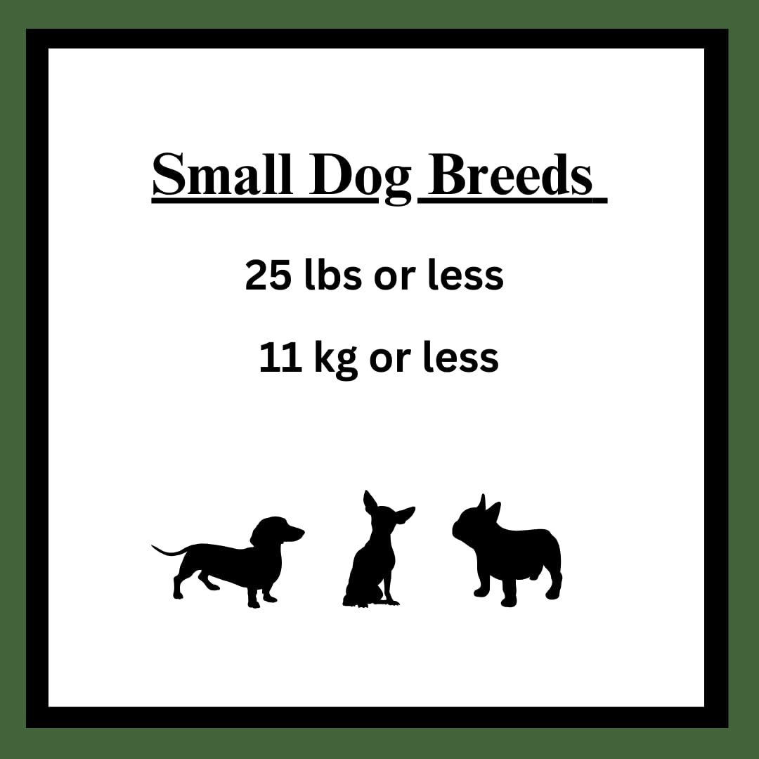 AccessiPets Dog Chew Bundles for Small & Medium Dogs, Rawhide Free Alternative 5 in Retriever Sticks Bundle with 1 Dog Waste Roll, Dental Rolls for Moderate Chewers (Peanut Butter, 10 Count)