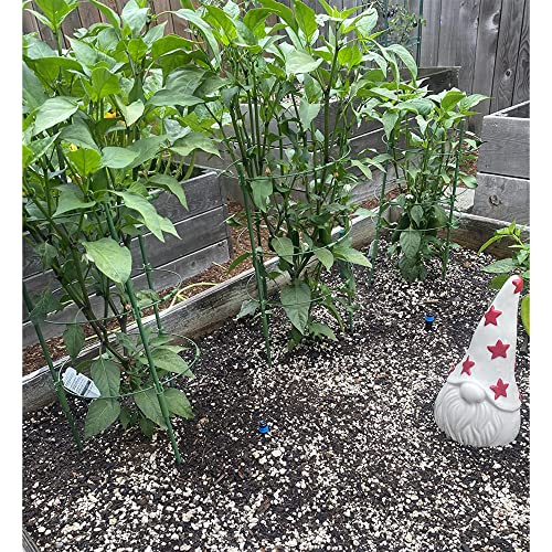 Adjustable Tomato Cage,36" Plant Support Garden Plant Stakes Cucumber Trellis with 4 Adjustable Ring for Climbing Plants Vegetables,Flowers,Fruit,Rose Vine Climbing Plants(6 Pack)