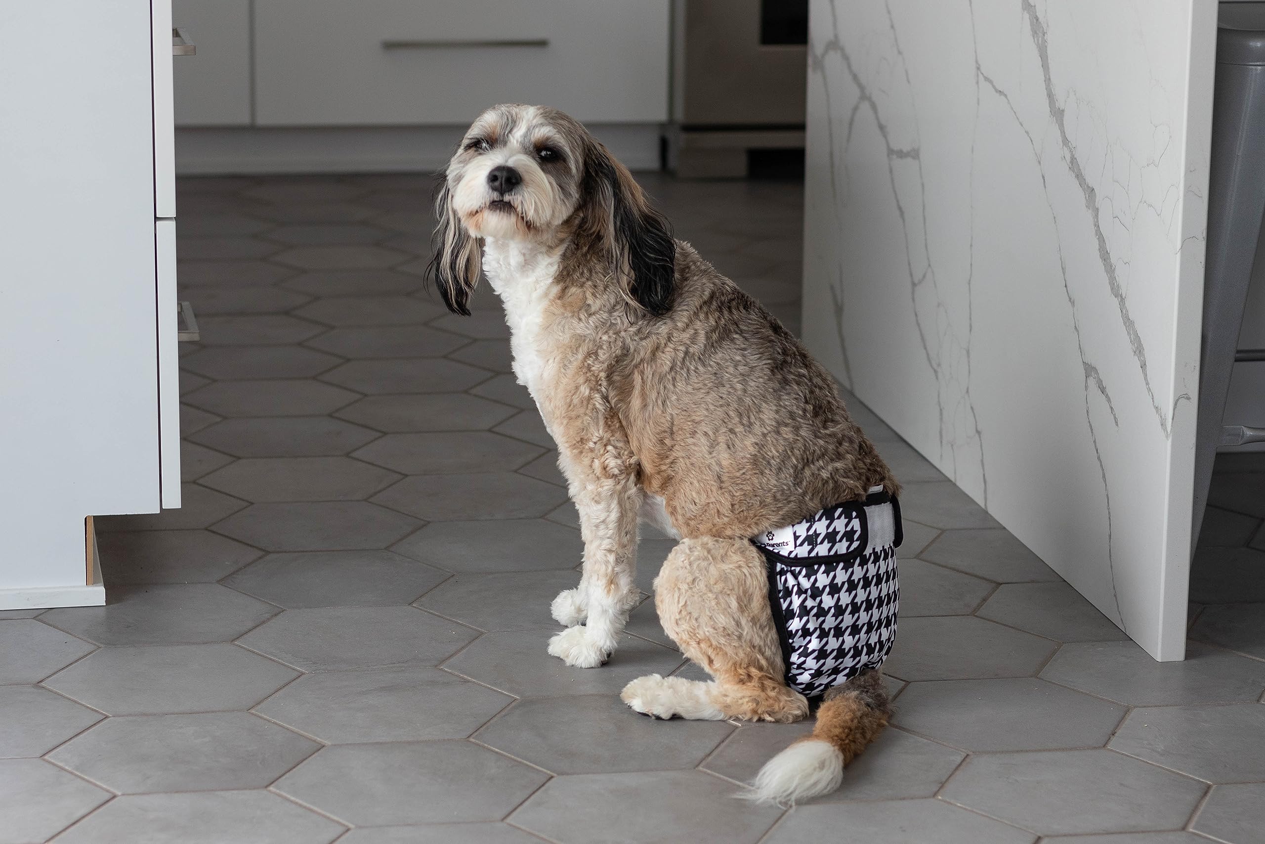 Pet Parents Washable Dog Diapers (3pack) of Durable Doggie Diapers, Premium Female Dog Diapers (Medium, Luxe)