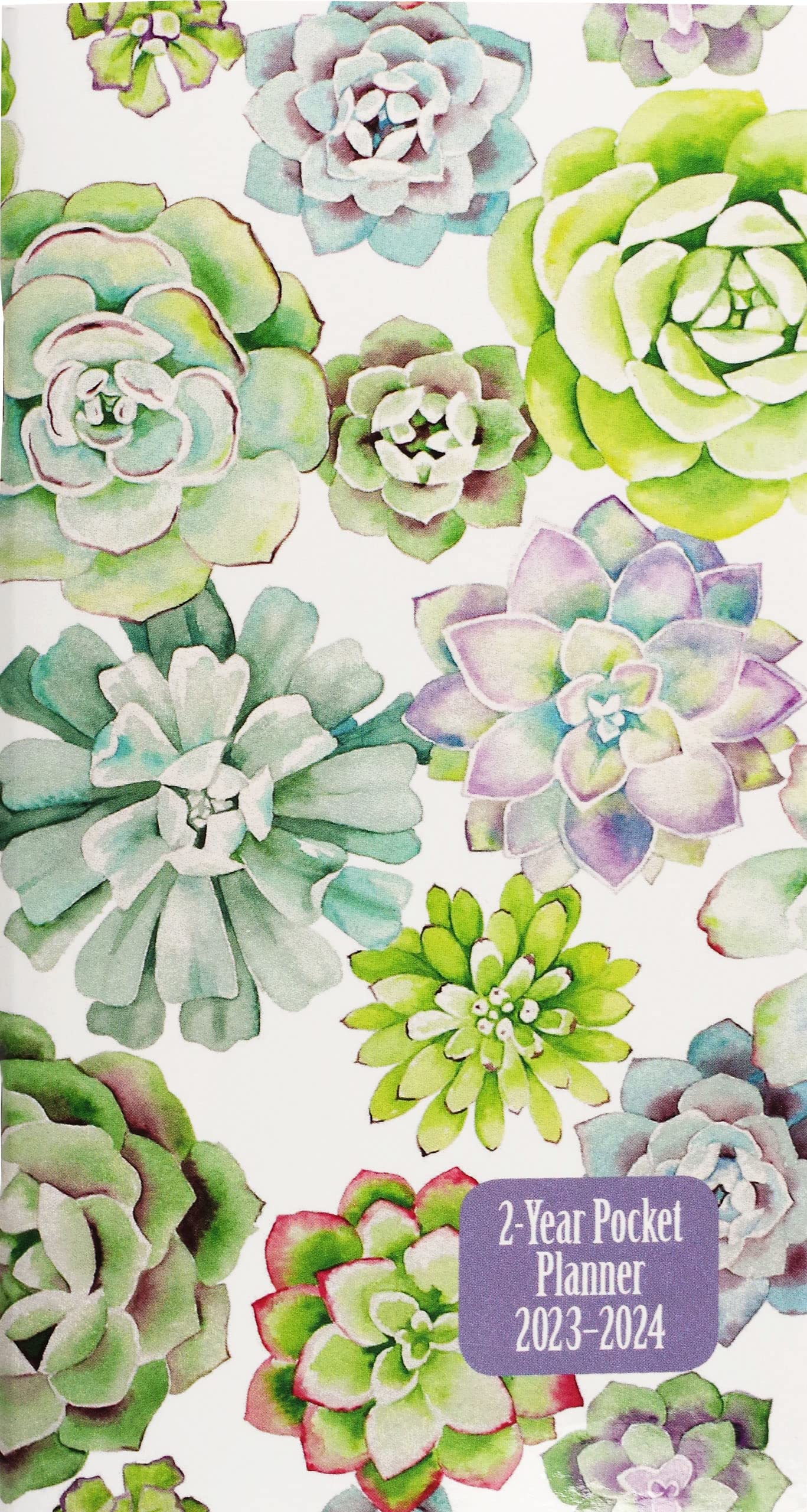 2023-24 Succulent Garden 2-Year Pocket Planner (24-Month Calendar)